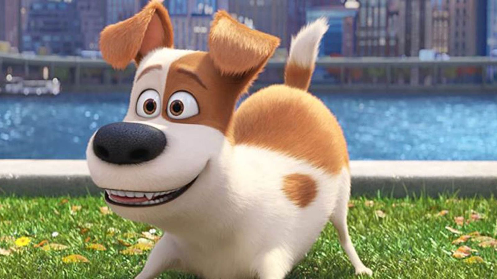 Nombre de los perros de la película Mascotas ¡también la raza!